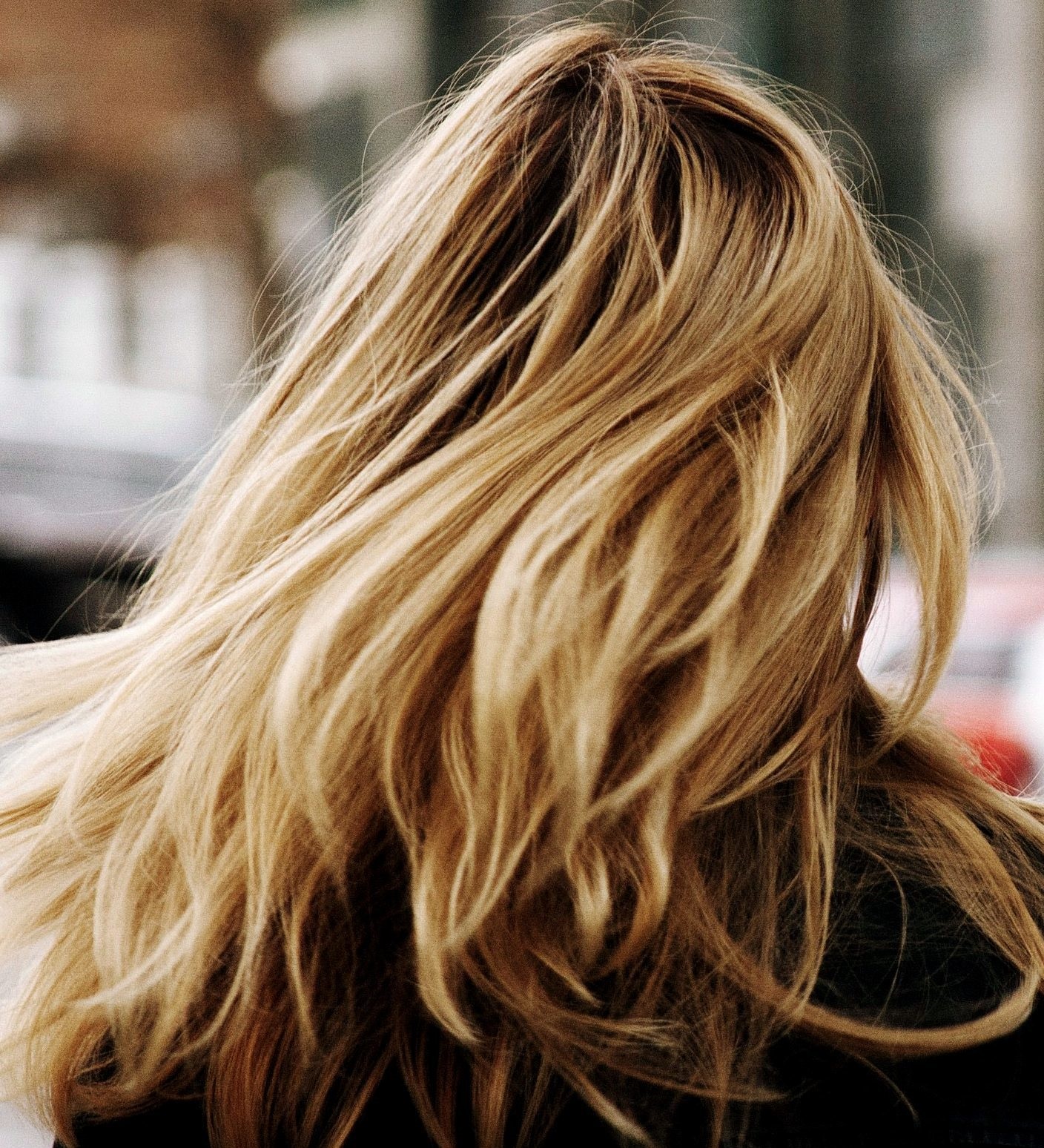 back, womens, head, blonde, hair | Beauty Logic Blog